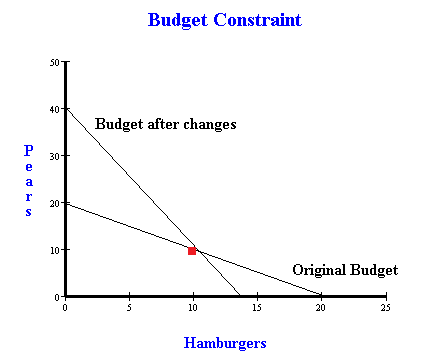 Budget Constraint graph with changes in prices and income