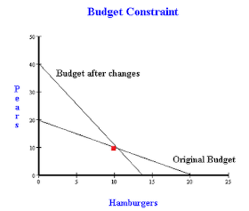 FreeEconHelp.com, Learning Economics... Solved!: Budget constraints ...