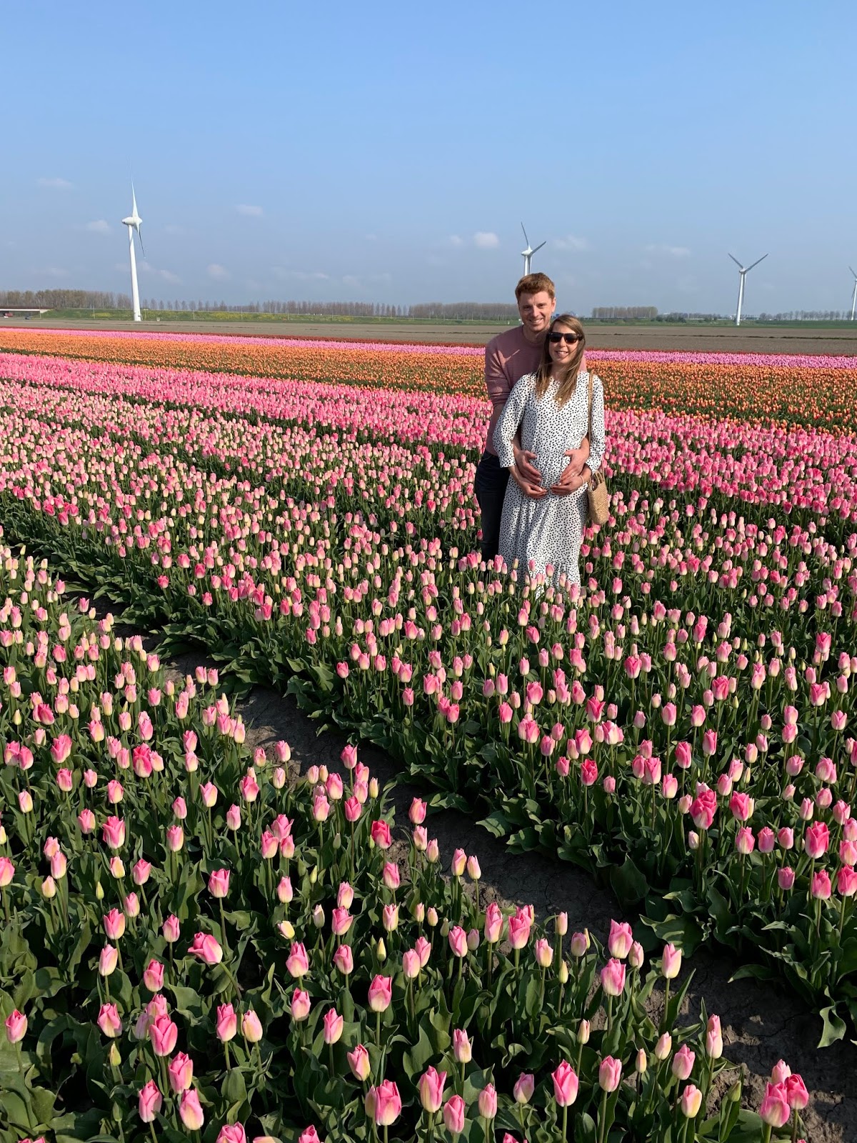 Travel // Visiting the Tulip Fields, Holland - Roses and Rolltops