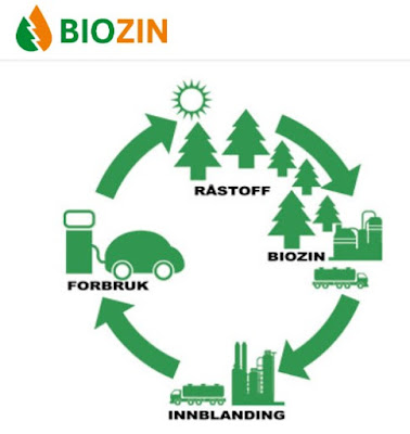 Biozin Holding AS receives Shell support for biocrude production ...