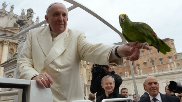 Sacerdotus: Pope and Birds