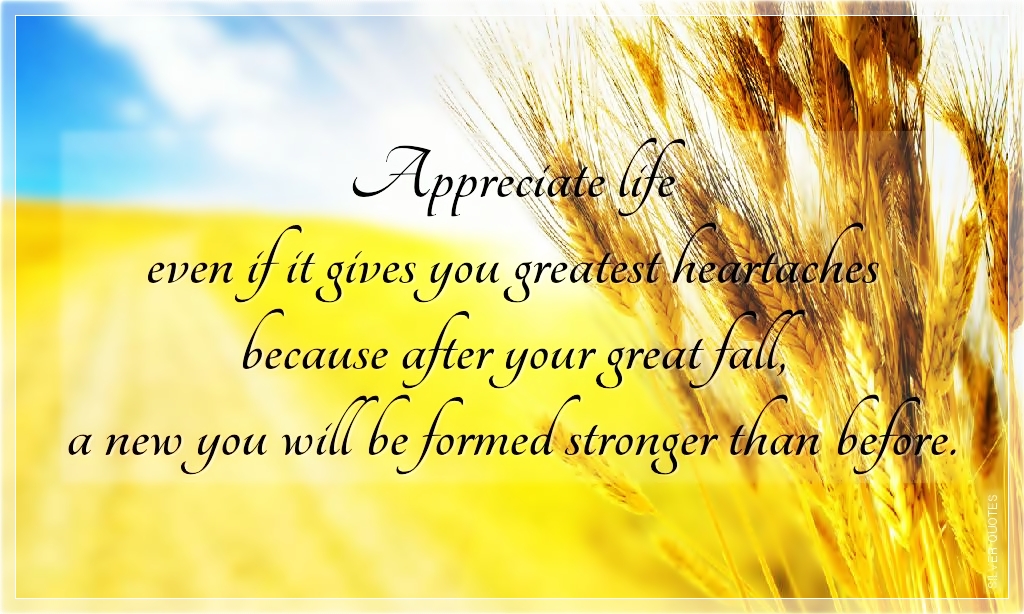 Appreciate Life Quotes