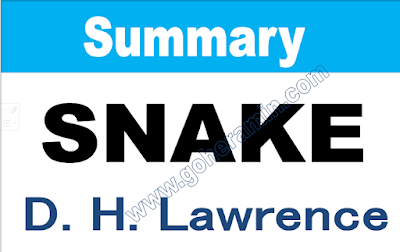 The summary and theme of the poem " SNAKE" by D.H. Lawrence