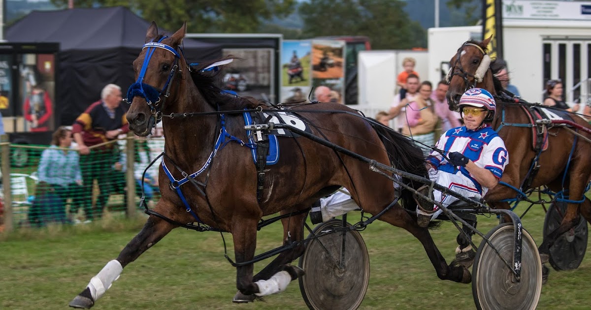 Harness Racing in the UK: Harness Racing: The Shows