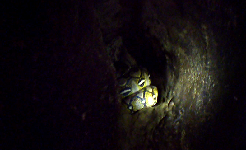 JOURNEY TO BATHALA CAVE