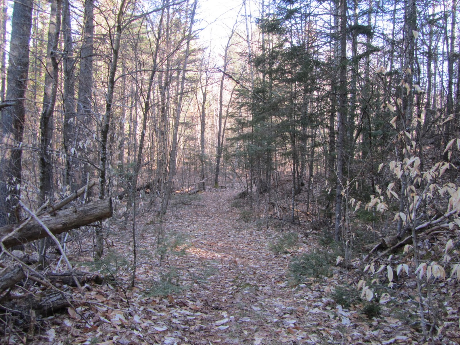Tomcat's Outdoor Adventures: Backpacking the Seward Range- Cold River Loop