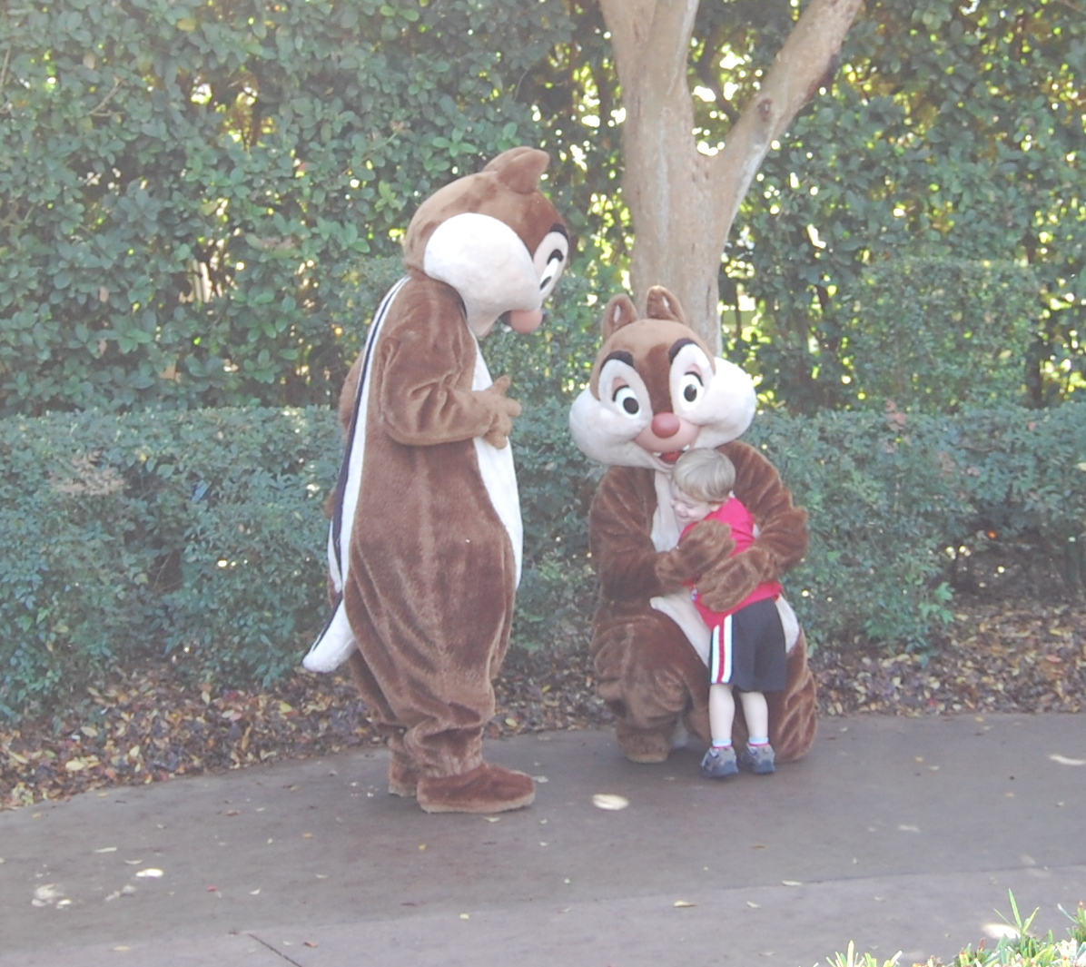 McMotte: Epcot - Chip and Dale