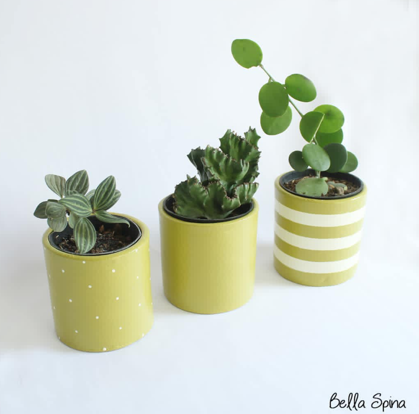 5 Model Pot Bunga Tanah Liat Yang Bisa Bikin Mupeng