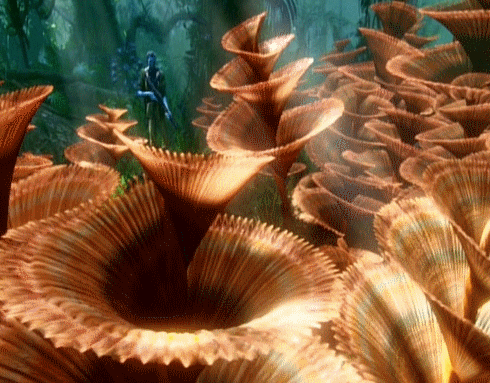 Zeta 137: 9. Avatar Flower