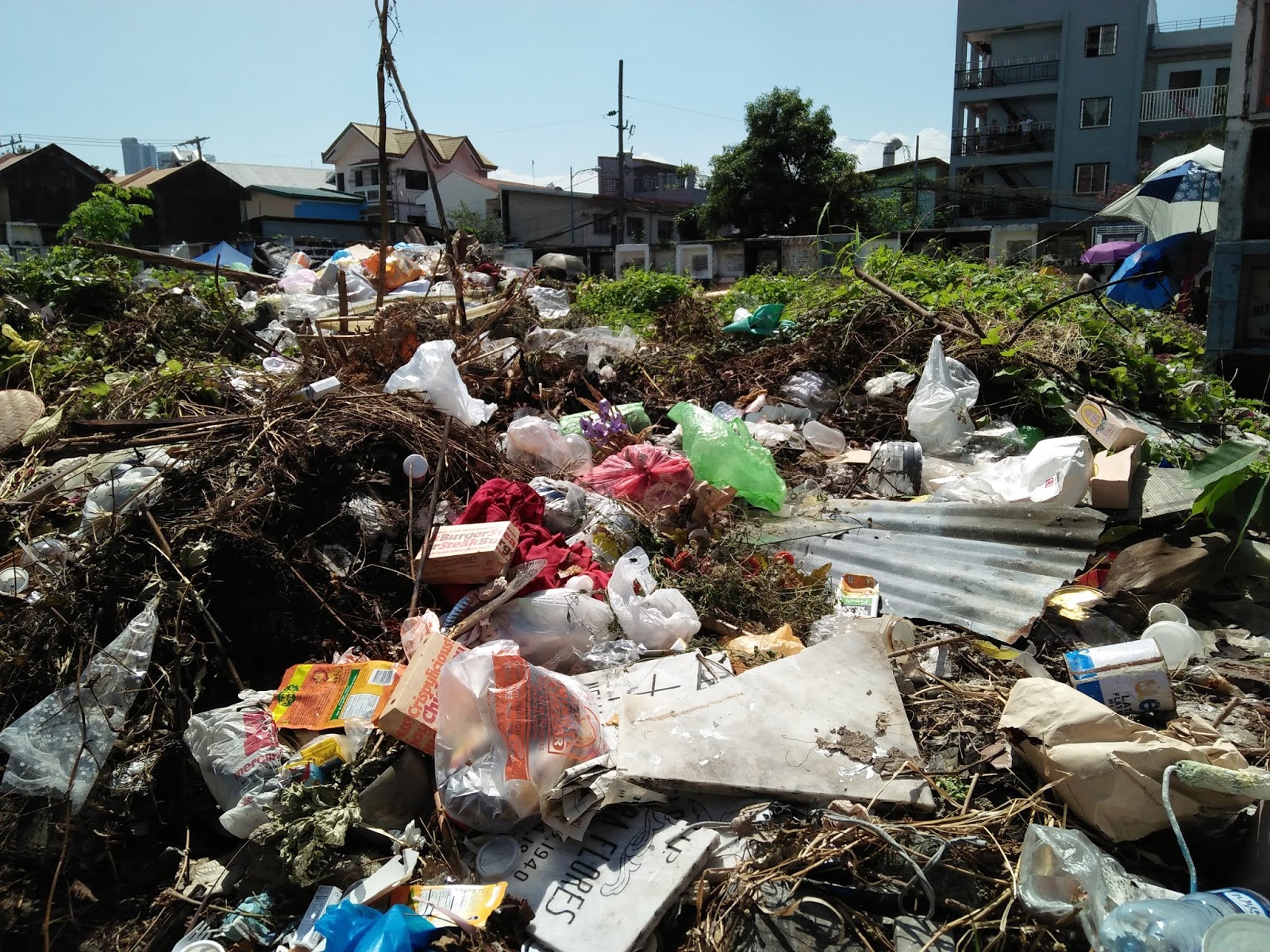 Garbage Overload: EcoWaste Coalition Grieves Over the Defiling of ...