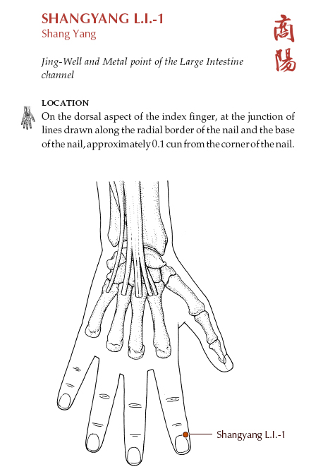 Acupuncture Masters: Acupuncture Points Database - Large Intestine channel
