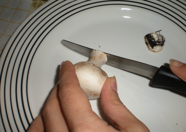 Si te pastrojme kerpudhat champignon. - Recete gatimi