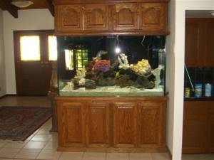 Giant Aquariums: 300 gallon FISH TANK - $3400 (Phoenix)