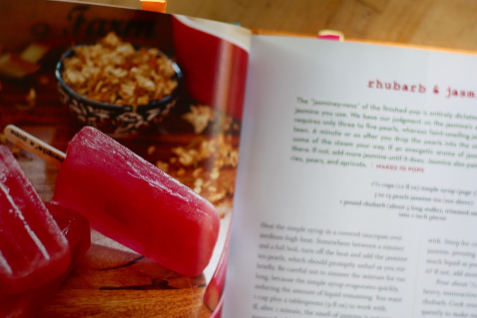 ben and birdy: Vanilla-Rhubarb Popsicles (plus a buried spontaneous ...