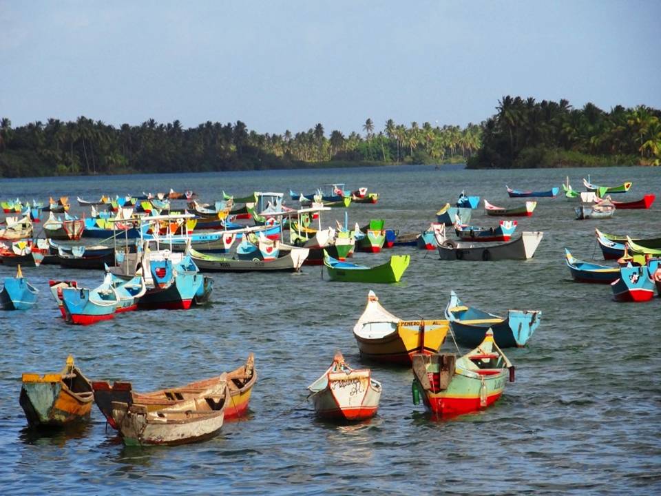 Estradas e caminhos: Piaçabuçu, no Delta do Rio Francisco