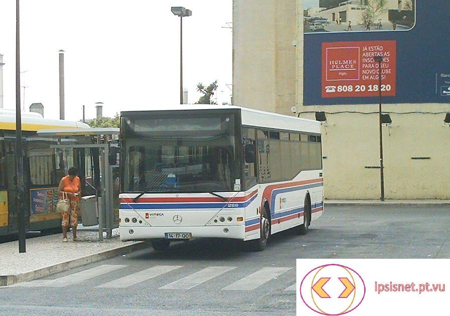 transportes online: Vimeca e Scotturb investem em novos autocarros