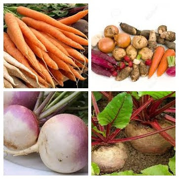 food for thoughts: ghuinya? root vegetables can also be a good option ...