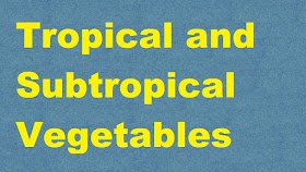 Tropical and Subtropical Vegetables ICAR E course Free PDF Book Download e krishi shiksha
