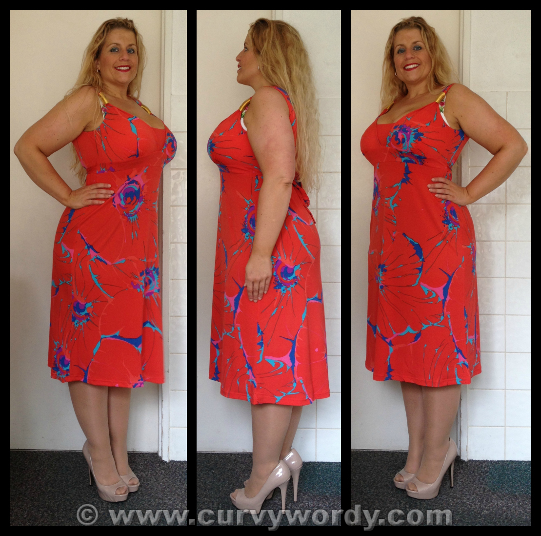 Anna Scholz for Simply Be Print Midi Dress 14 - Curvy Wordy