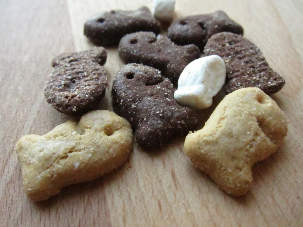 Review: Pepperidge Farm - S'mores Goldfish Grahams