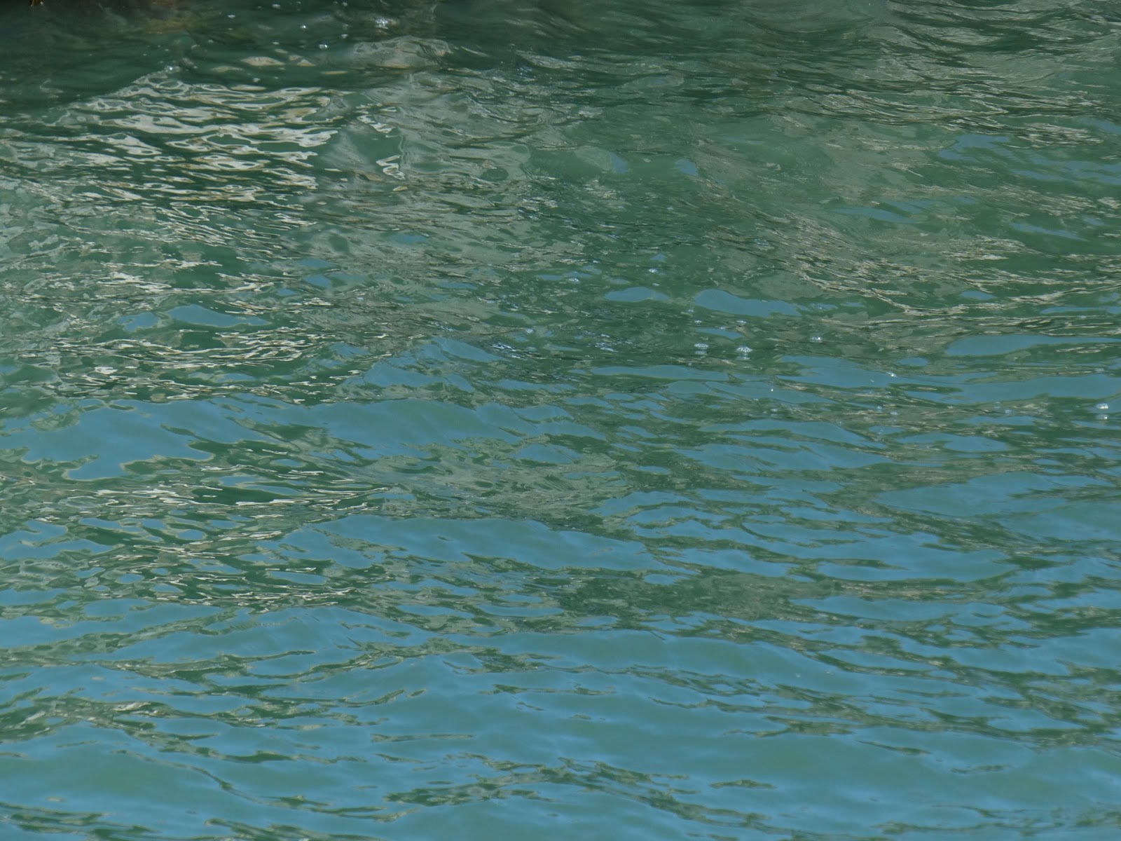 Los colores del mar - Resolviendo la incógnita