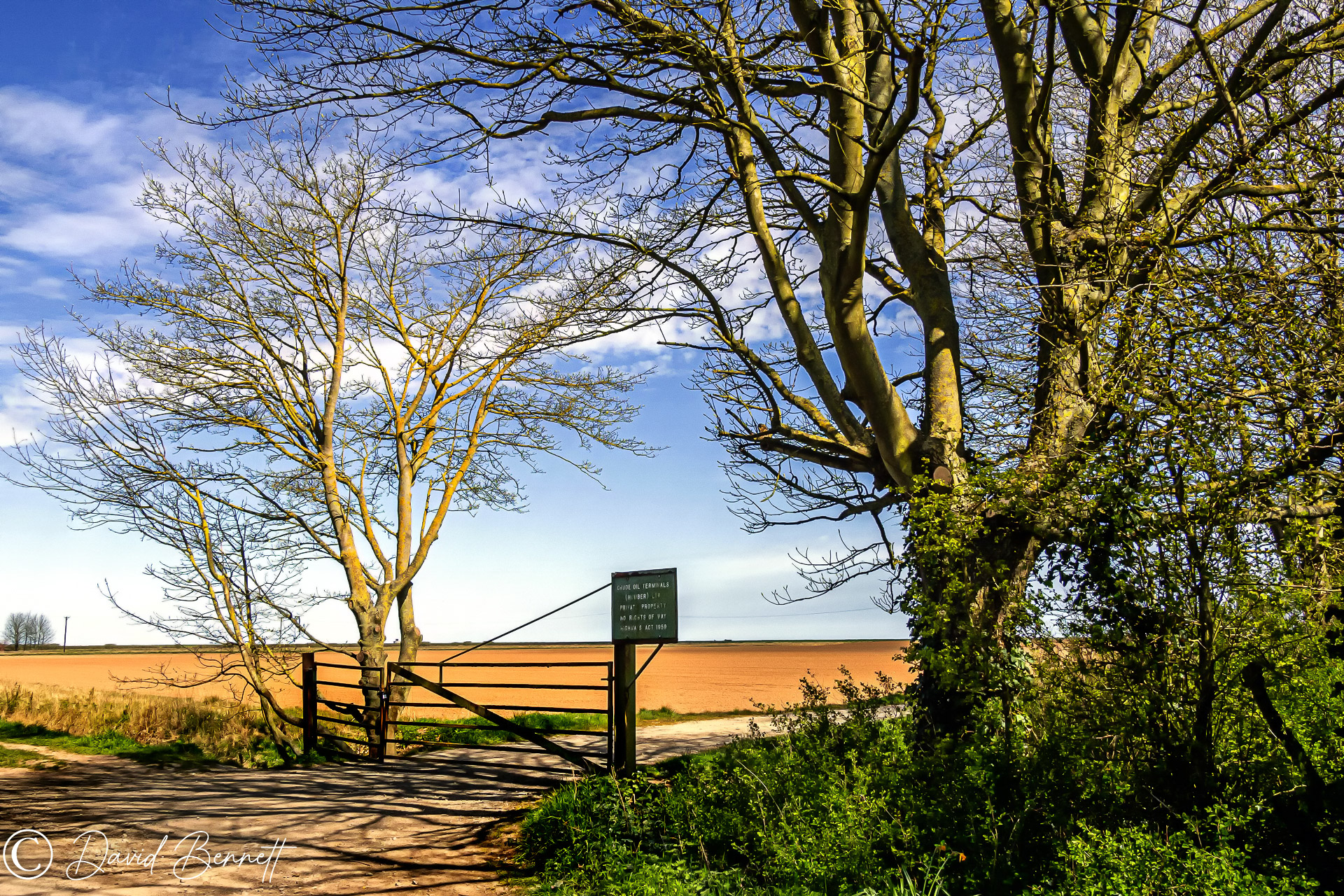 Lincolnshire Cam: Tetney Lock.
