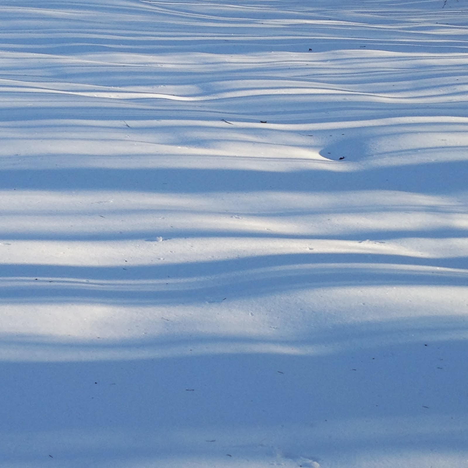 A Life Inspired by Nature: Abstract snow
