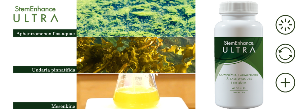 Cerule Québec Fr.: StemEnhance Ultra De Cerule