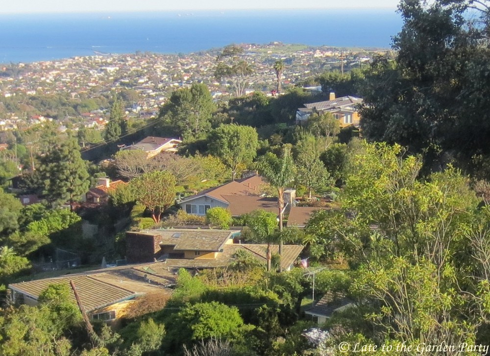 Late to the Garden Party: A broader view