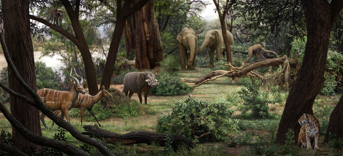 Ardi: a look into the early pliocene