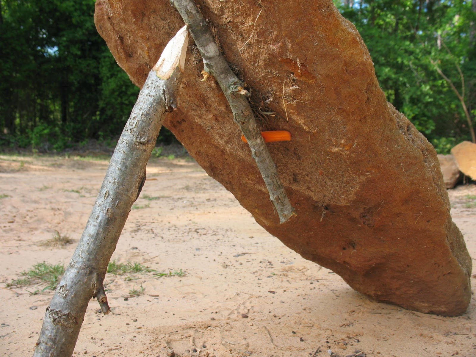 Sensible Survival: Make a Fast, Simple, and Effective Baited Deadfall Trap
