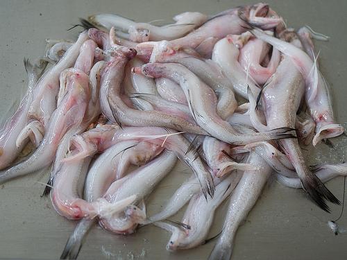 Chempaka Merah: From My Kitchen : Sambal Ikan Lumek Salai