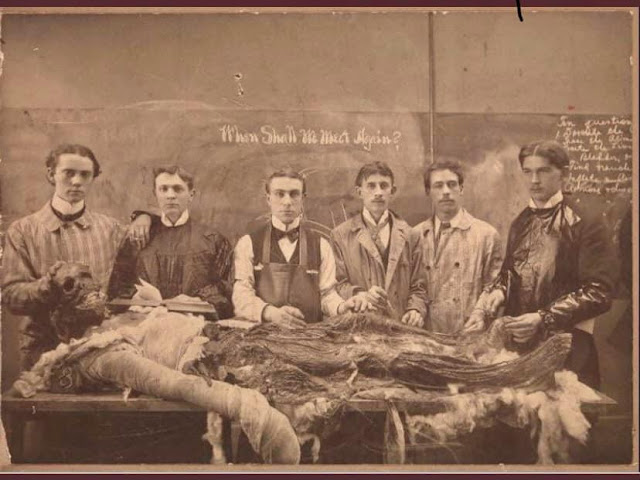 Em defesa das causas perdidas: A NOVA TRIAGA BRASÍLICA