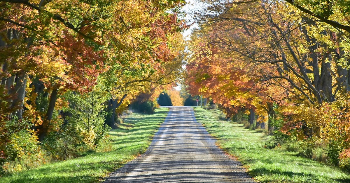 TRAVEL WITH THE BAYFIELD BUNCH:)): SUNNY COLD DAY