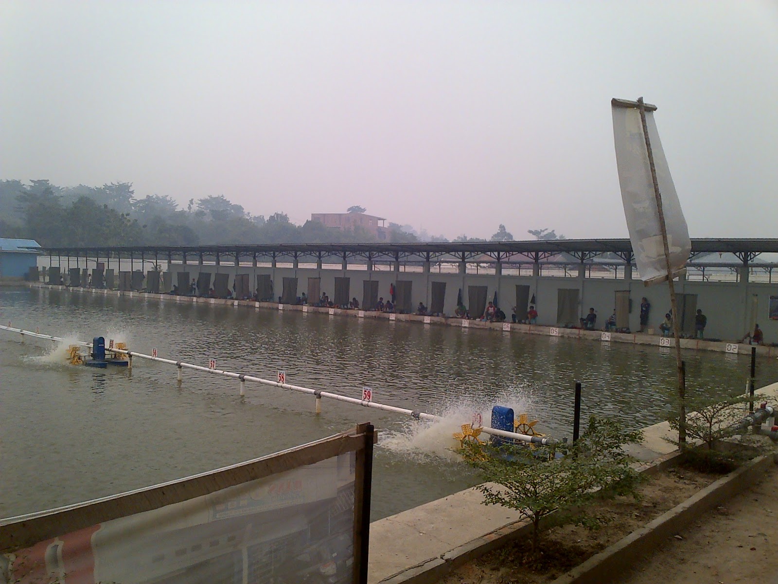 BERITAKU: HBA Buka Lomba Mancing Galatama Ikan Mas di Telaga Jati Jambi