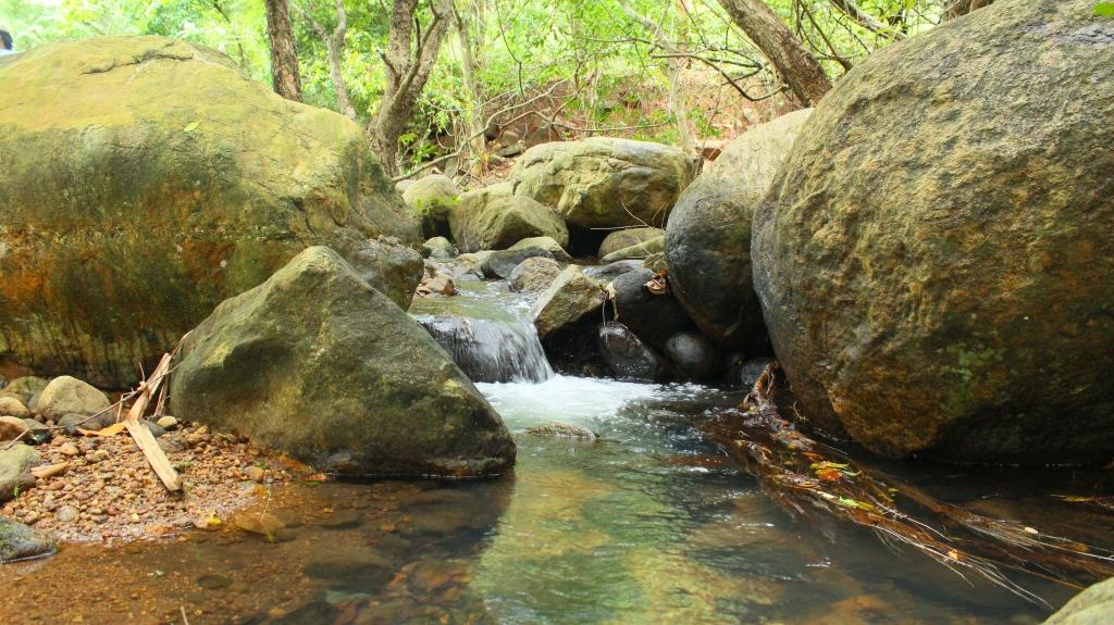 Tamilnadu Tourism: Ulakkai Aruvi Falls, Azhagiapandipuram, Kanyakumari