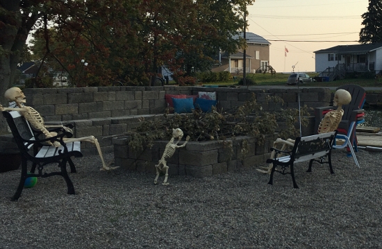 Runs for Cookies: Super Creative Skeleton Displays for Halloween!
