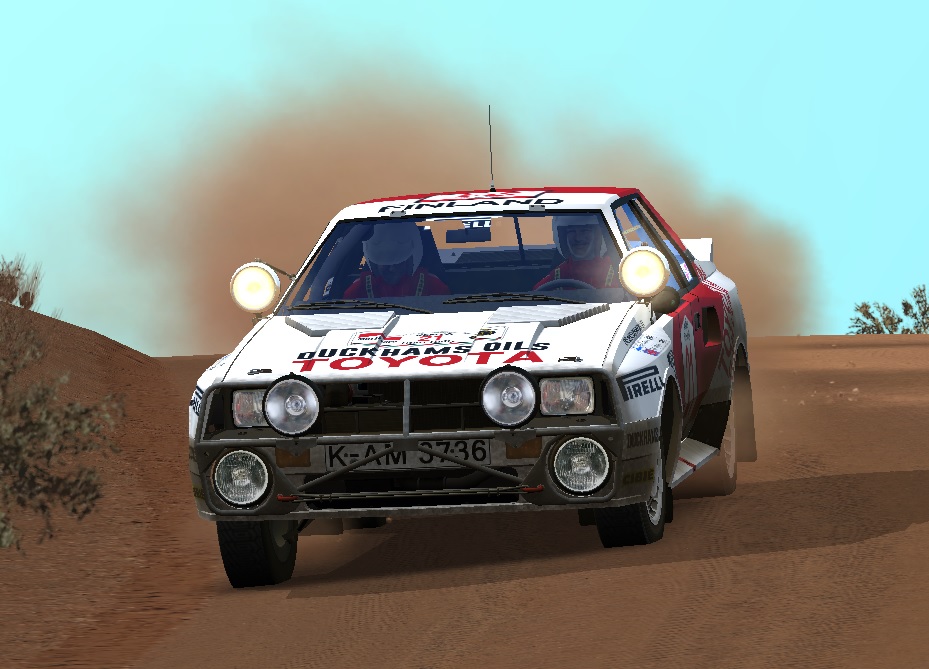 Shenshee's RBR Rally Cars