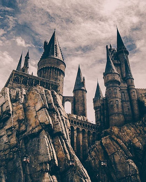 Penjelasan Low Angle - Zona Fotografi Indonesia