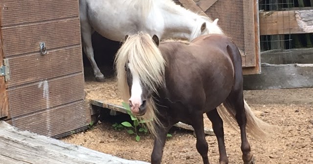 Dispatch from the Digital Health Frontier: Building Unity Farm ...