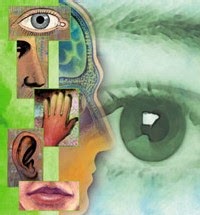 PSICOLOGÍA SOCIAL: PERCEPCIÓN SOCIAL, ATRIBUCIÓN CAUSAL Y ACTITUDES