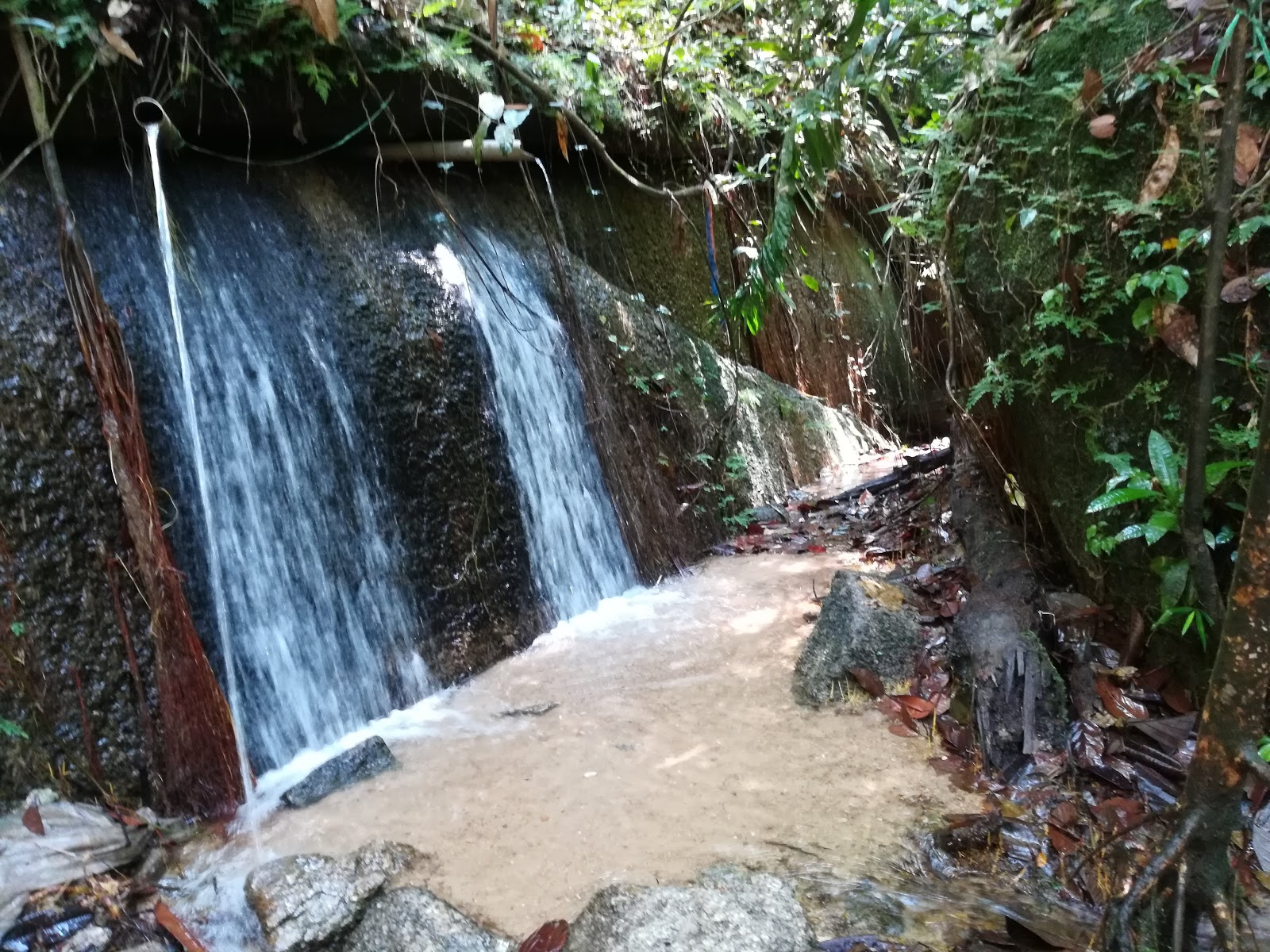 Mendaki Bukit Saga, Selangor ~ TWENTYFOUR