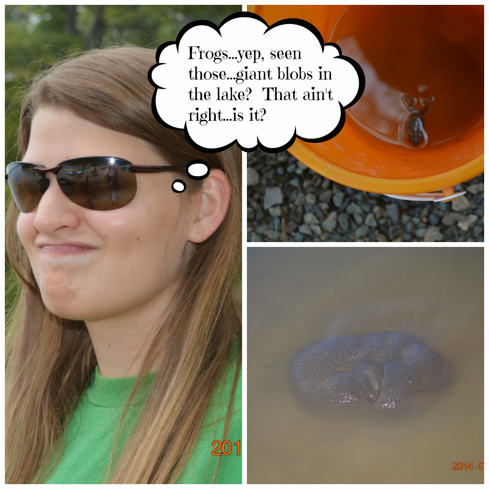 Solagratiamom: Discovering the Lake "Blob"