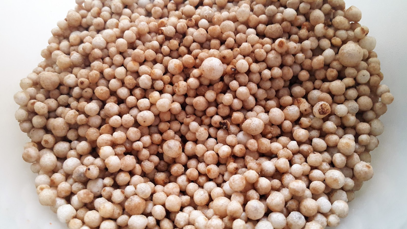 Sagu Lemak Makanan Khas Tradisional Melayu Riau - Wisata Riau - RiauMagz