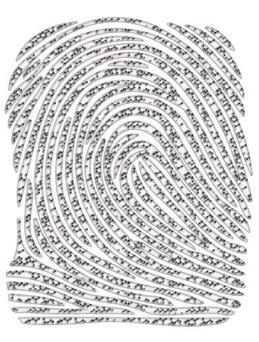 Olhar de Reflexão : As marcas da vida e a Digital de Deus