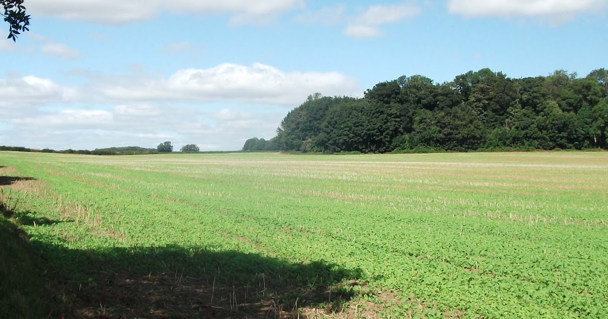 Walking The Peak: Langold Lake Country Park and Letwell