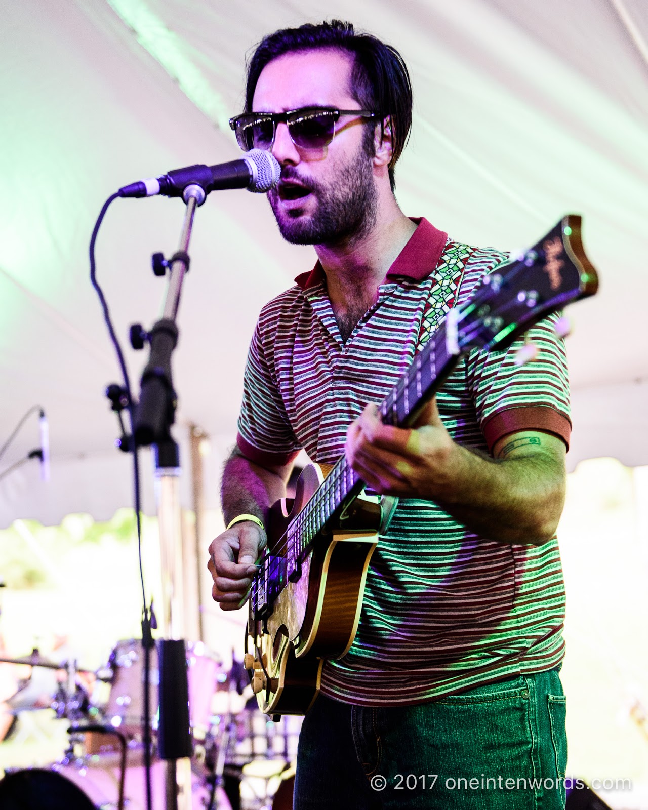 one in ten words: Riverfest Elora 2017: Odd Years - Concert Pictures