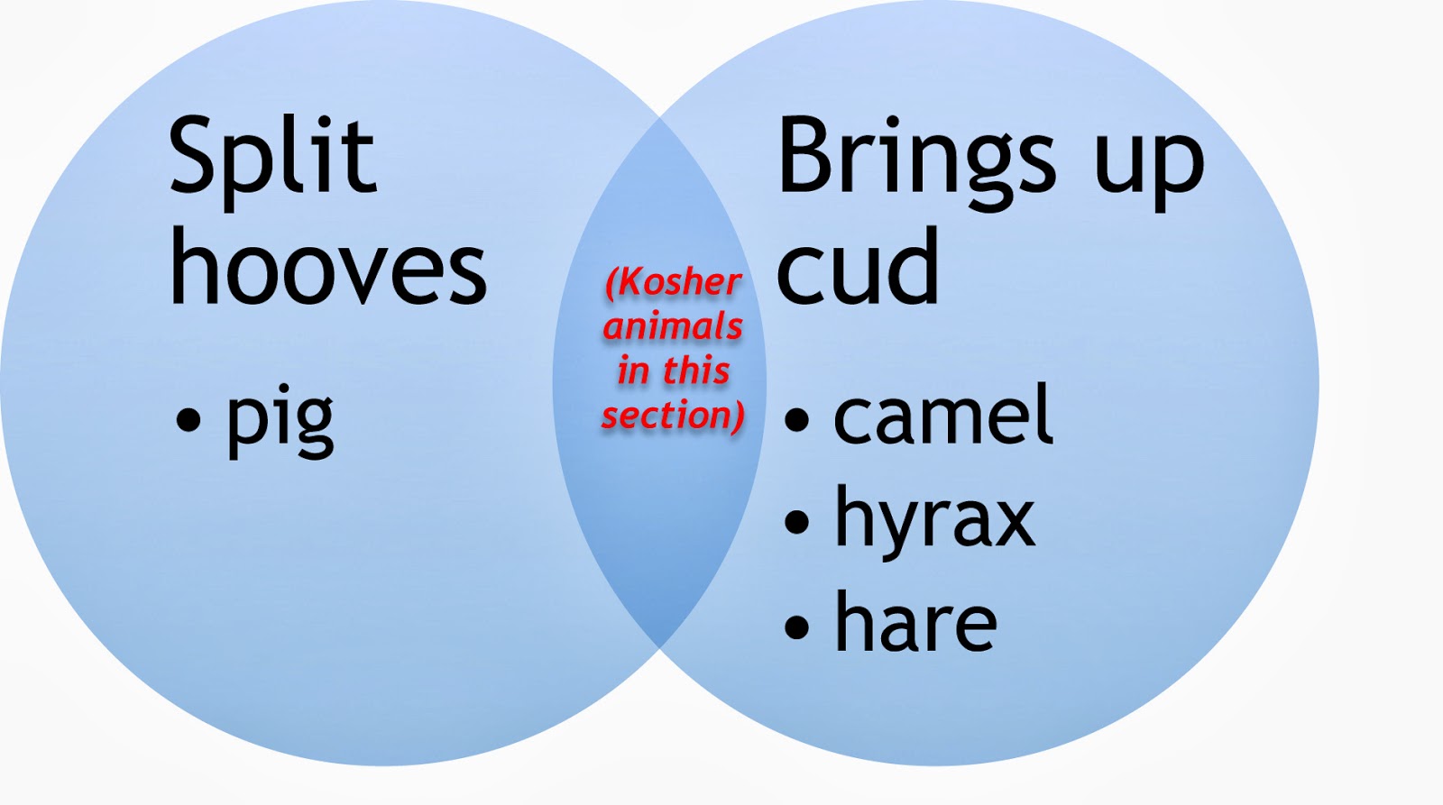 Parsha Math: Shmini- Venn Diagrams