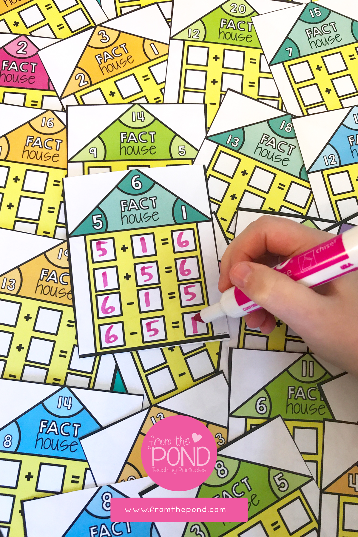 Addition and Subtraction Fact Families | From the Pond