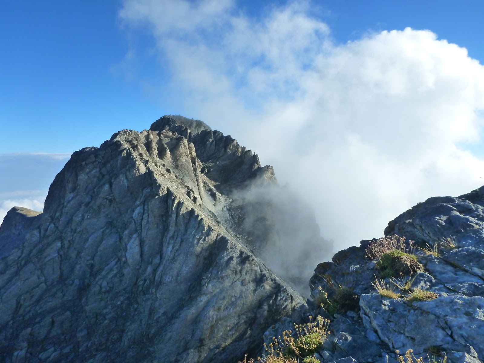 Lãng Phong: HÈ NHÌN LÊN ĐỈNH OLYMPIC-Thảo Chương Trần Quốc Việt và Thơ Họa
